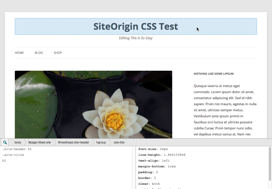How to Use Custom CSS in WordPress | ResellerClub Blog
